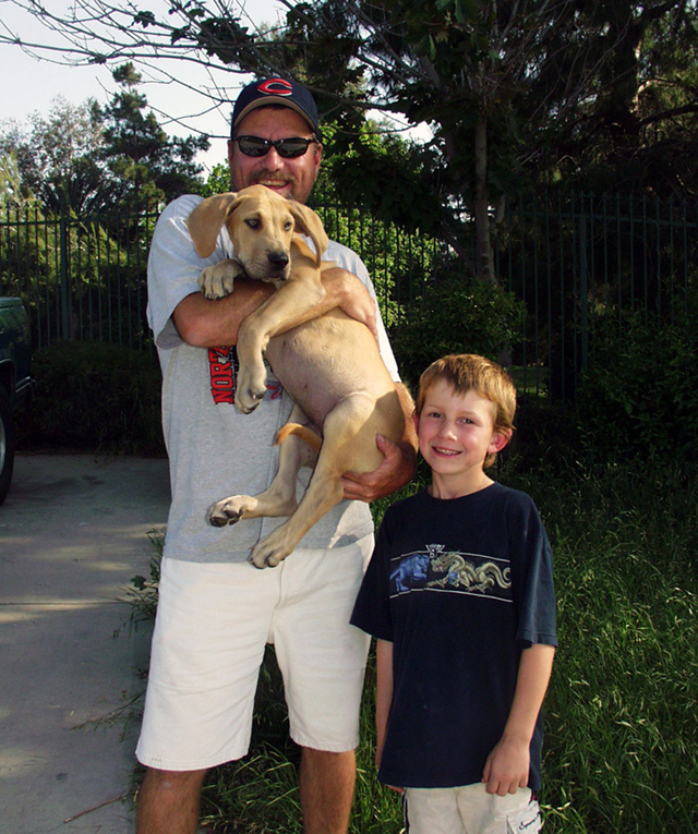 Gentle Giants Rescue and Adoptions